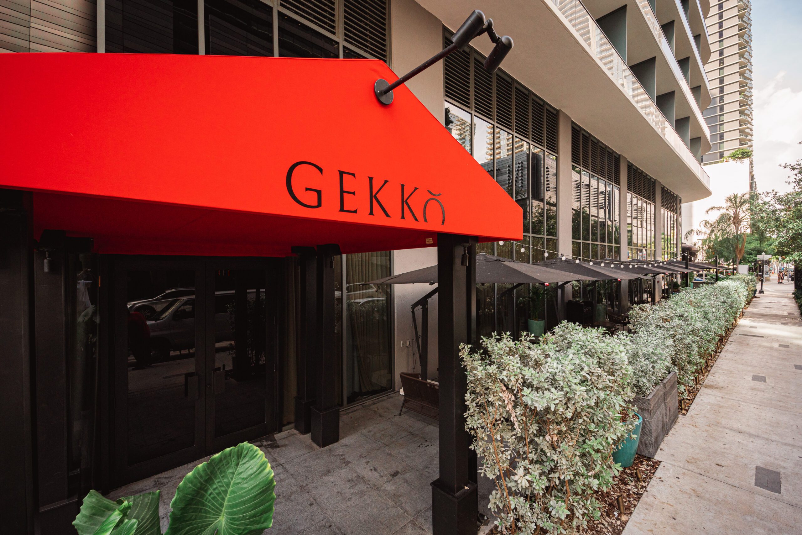 Gekko Project by Poggesi® USA — Poggesi